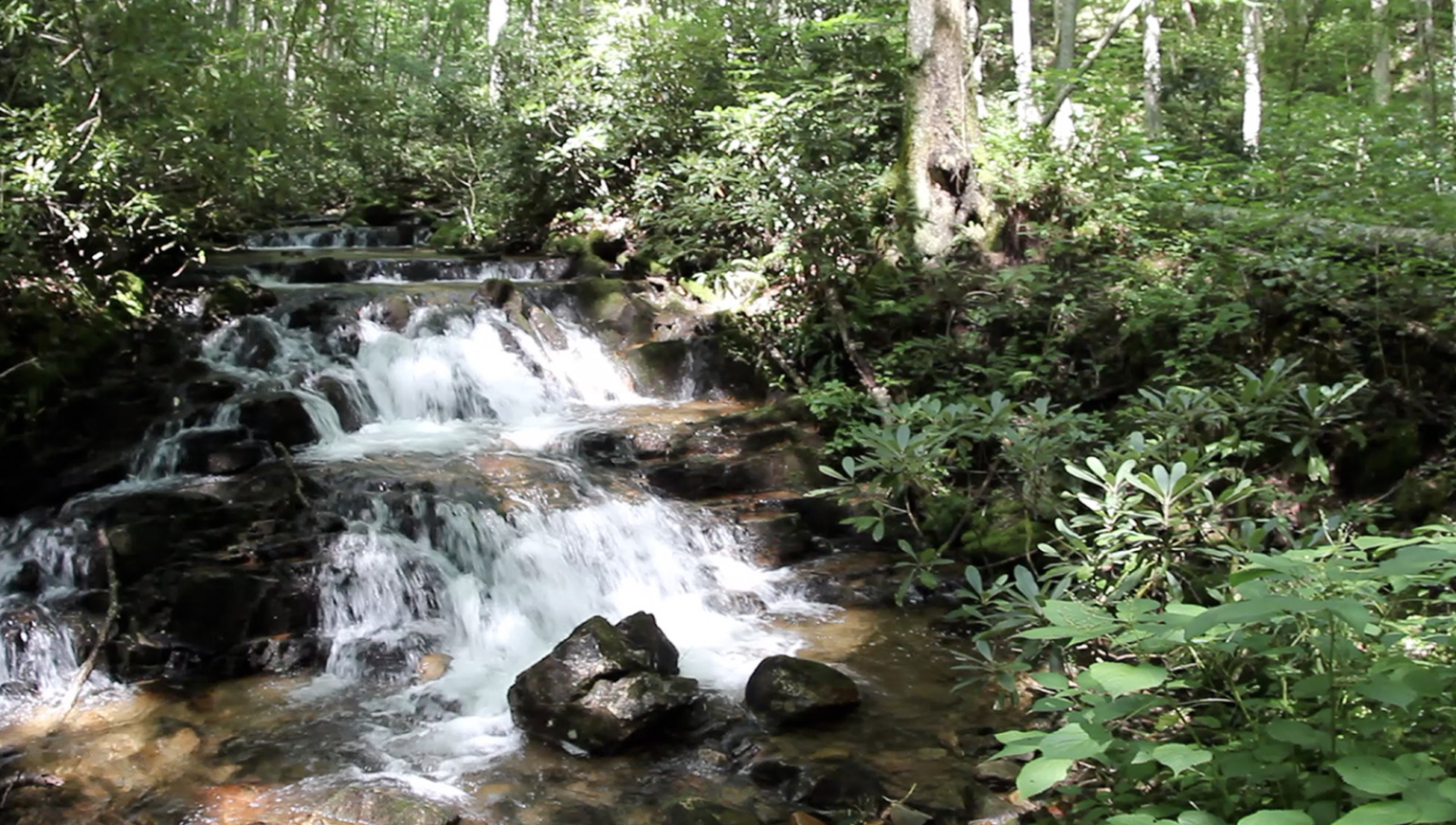 Gallery - Johnson County Chamber